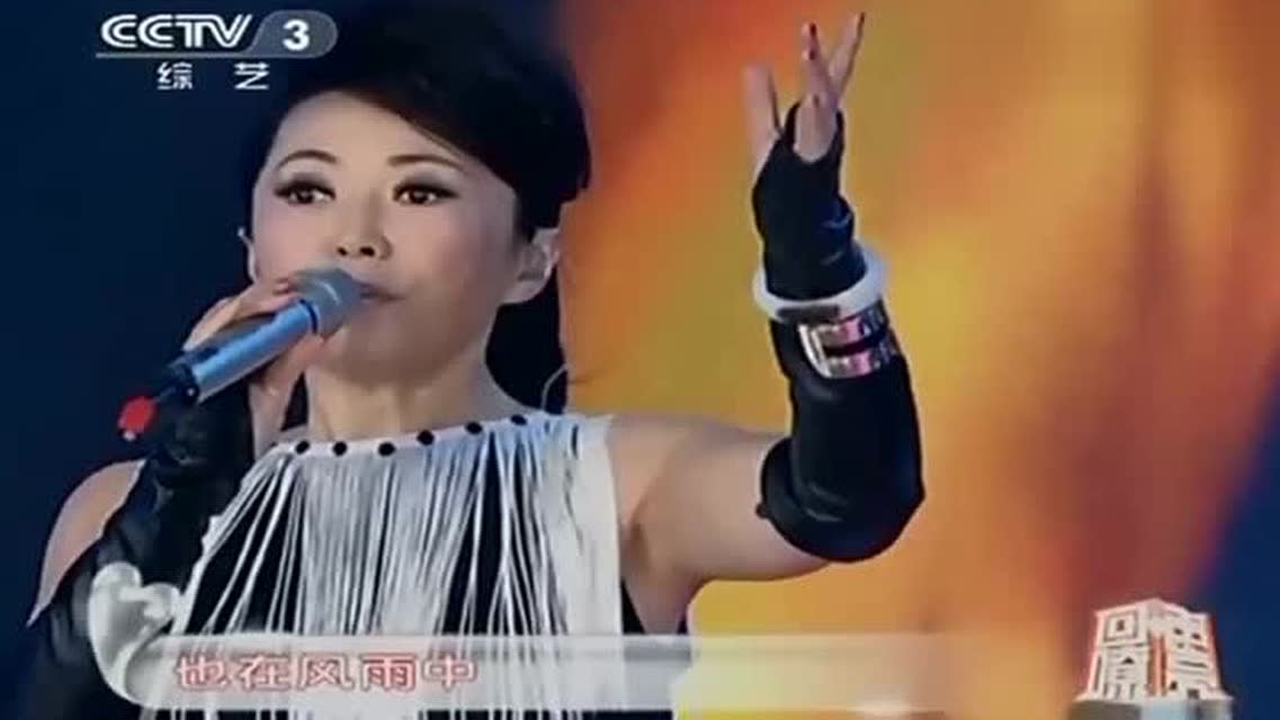 风雨兼程 程琳歌曲 搜狗百科