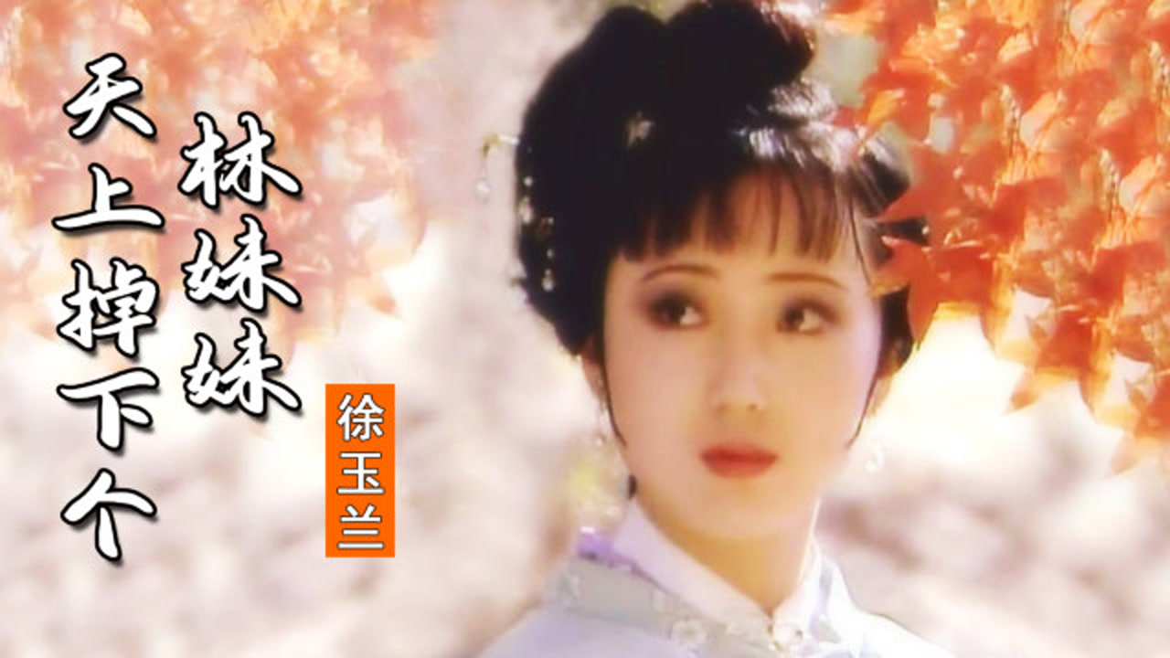 天上掉下个林妹妹 越剧红楼梦的著名唱段 搜狗百科