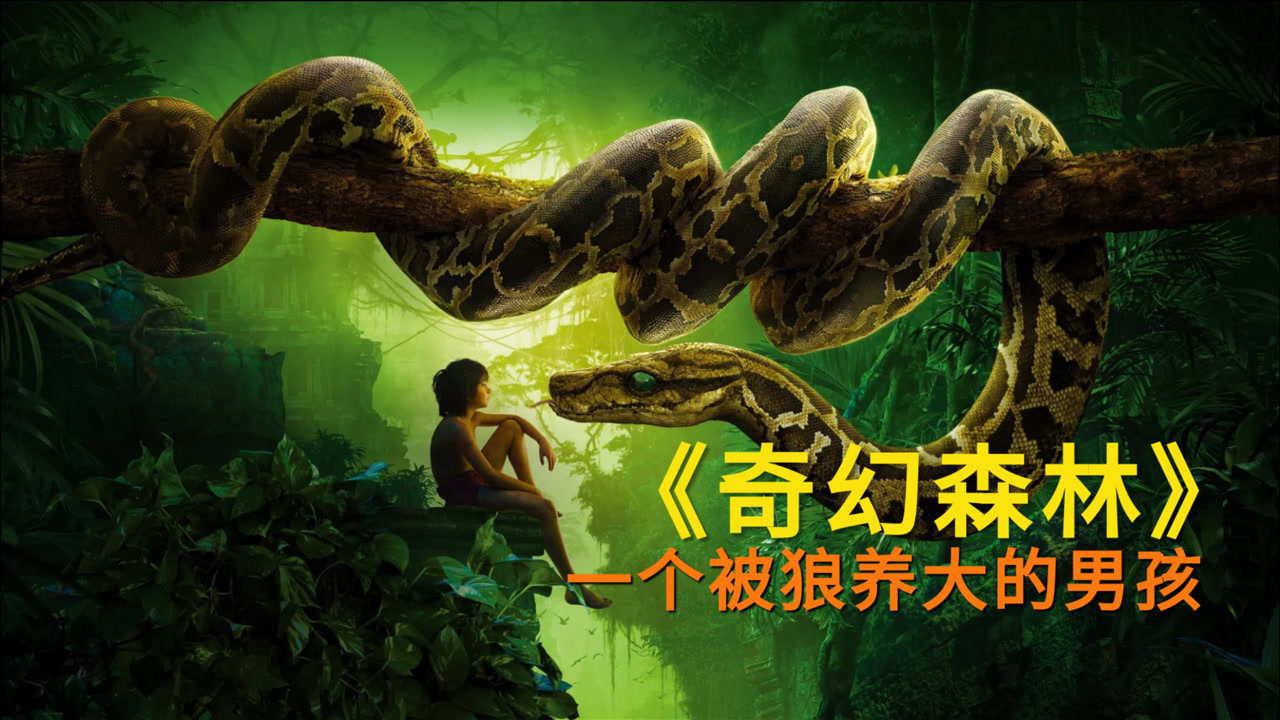 奇幻森林 2016年乔恩费儒执导电影 搜狗百科