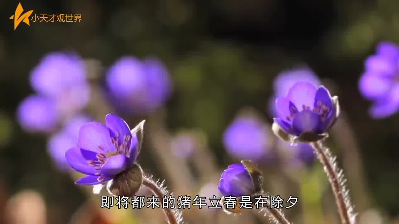 春打五九尽春打六九头 搜狗百科