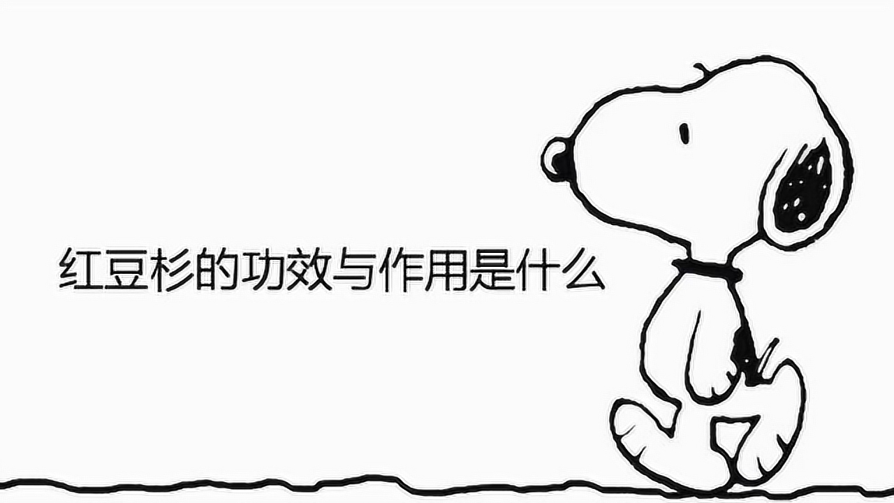 红豆杉 中国特有树种 搜狗百科