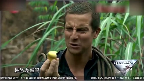 跟着贝尔去冒险 腾讯视频全网搜