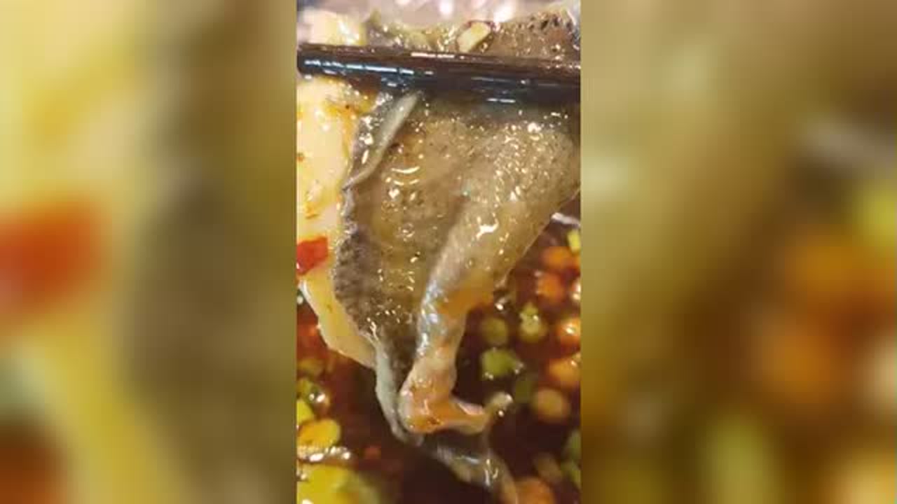 鱼火锅 以鱼为主食材的菜品 搜狗百科