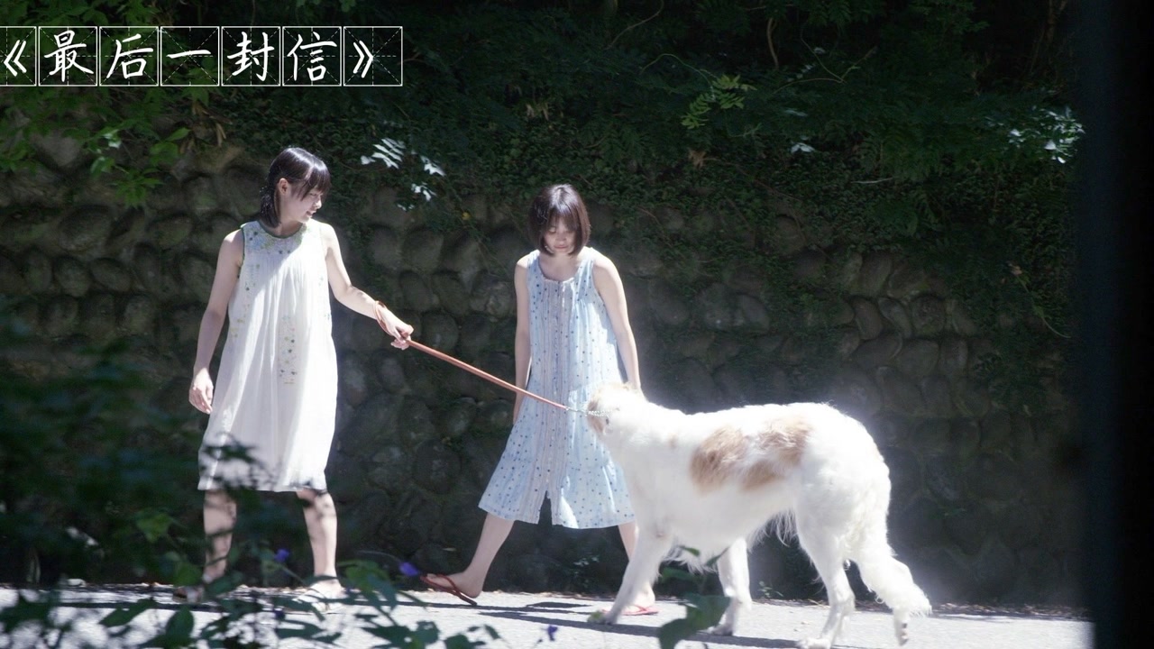 最后一封信 2019年岩井俊二执导电影 搜狗百科