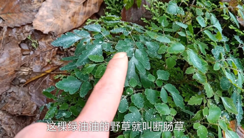 腾讯视频
