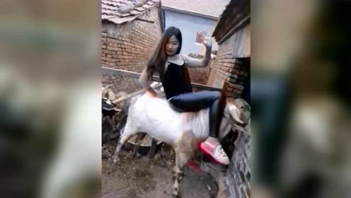 腾讯视频