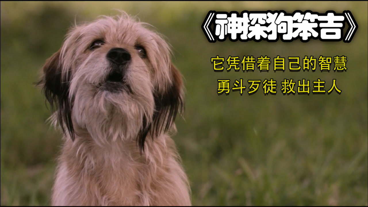 神探狗笨吉 美国2018年布兰登坎普执导电影 搜狗百科