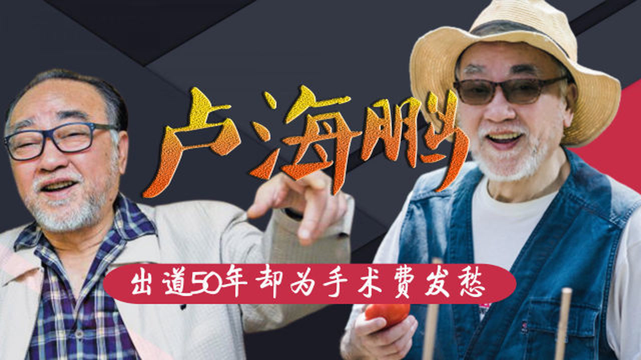 卢海鹏 加拿大籍华裔男演员 搜狗百科