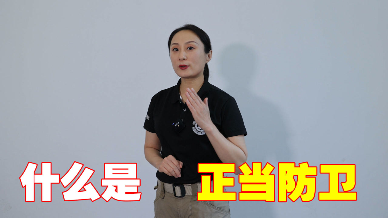 正当防卫 法律概念 搜狗百科