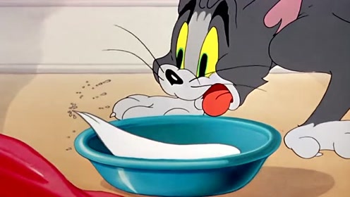 猫和老鼠汤姆刚想喝一口牛奶牛奶就消失了 影音视频 小不点搜索