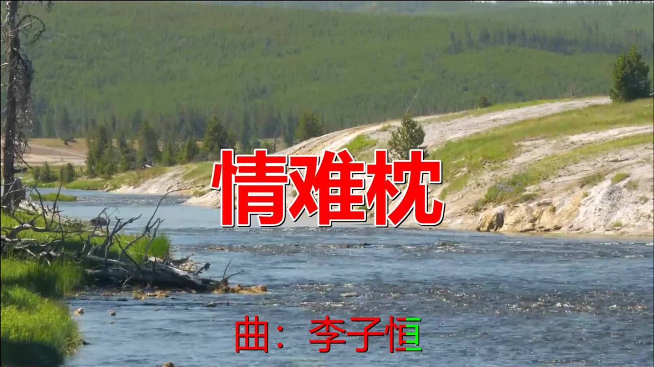 情难枕 1993年林慧萍发行的歌曲 搜狗百科