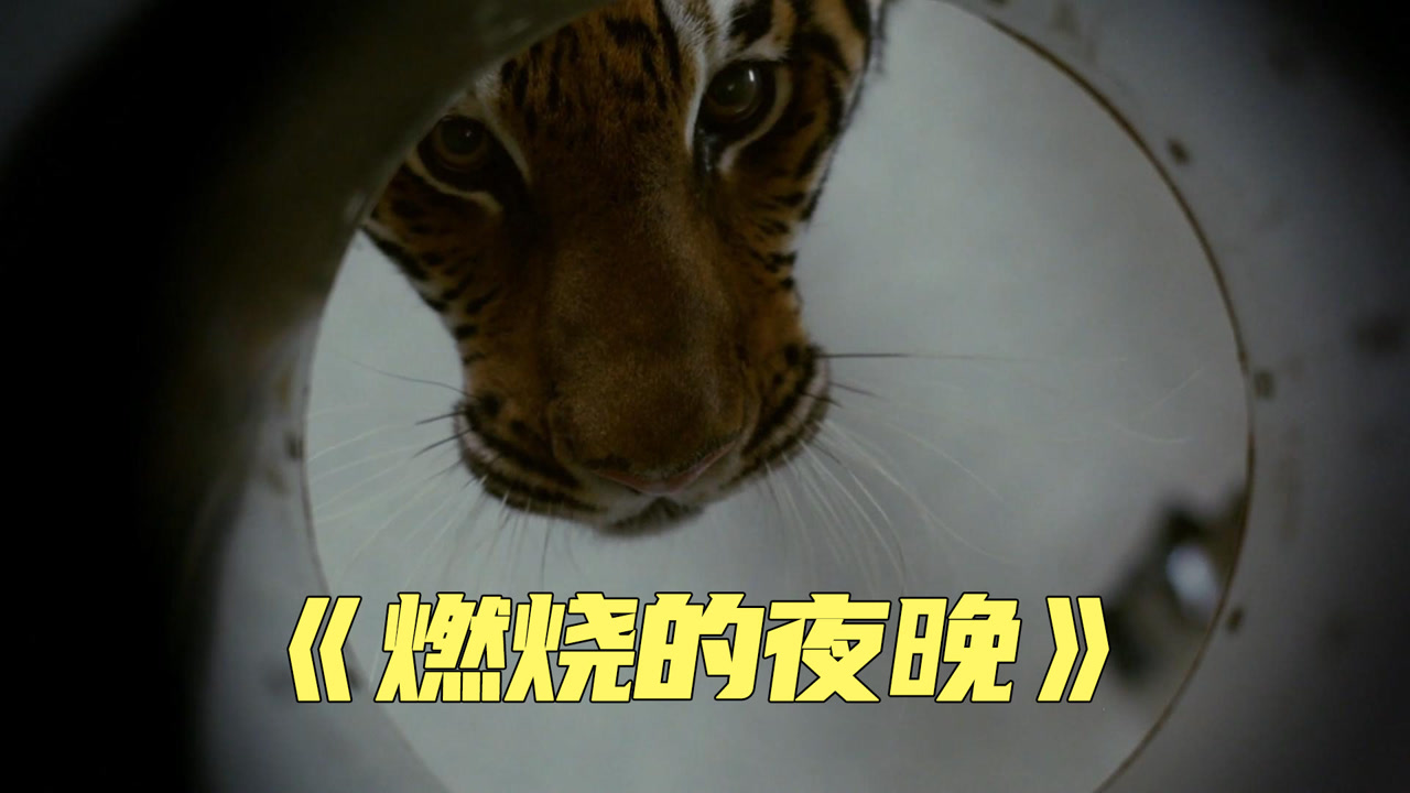 燃烧的夜晚 卡洛斯布鲁克斯执导电影 搜狗百科