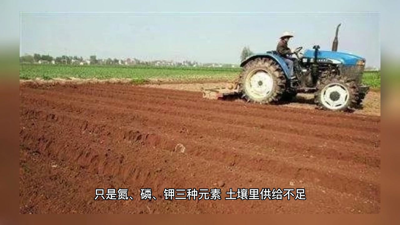 铵态氮肥 搜狗百科