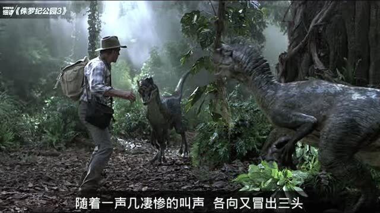 侏罗纪公园3 2001年山姆尼尔威廉姆H梅西主演的电影 搜狗百科
