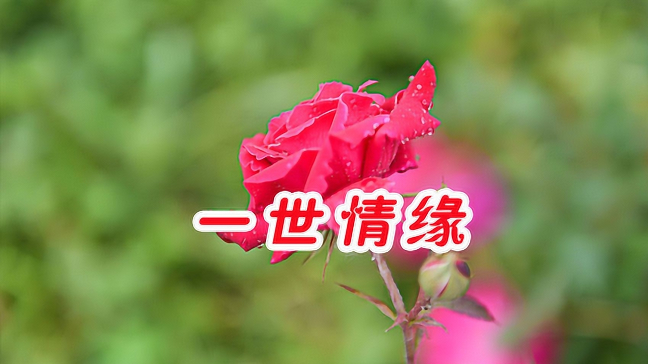 一世情缘 姜育恒音乐专辑 搜狗百科