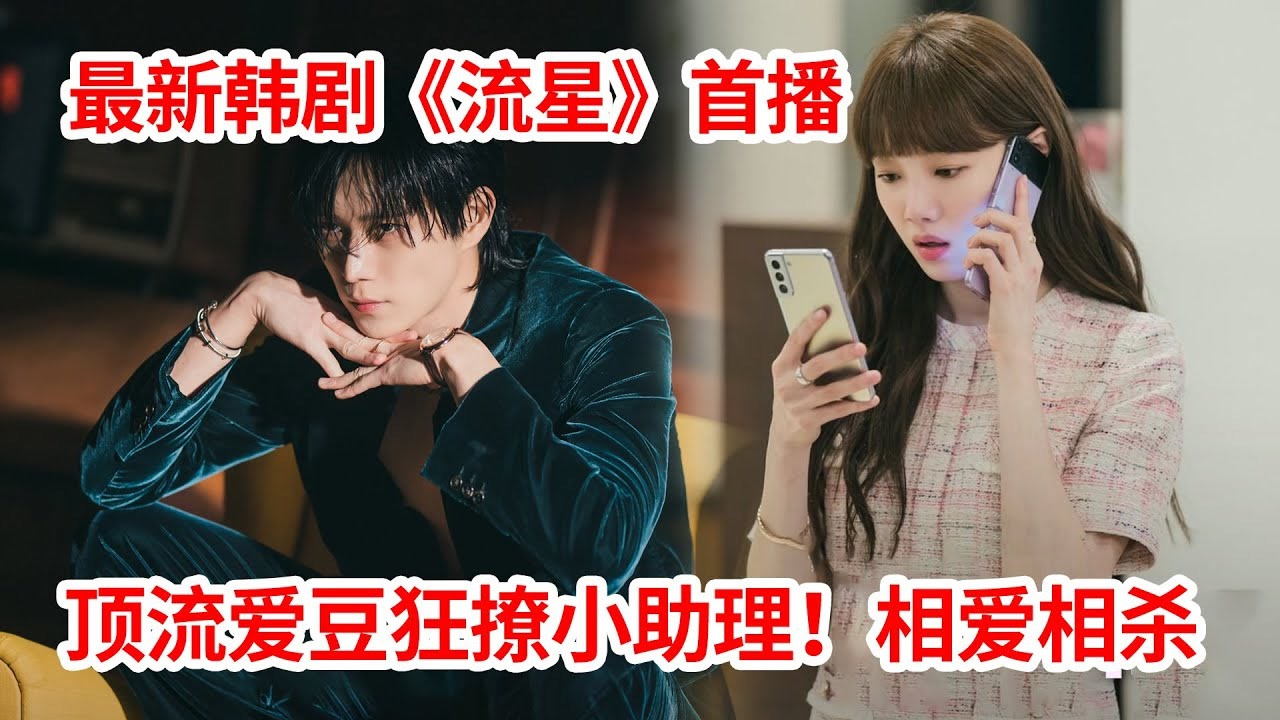 流星 2022年李圣经 金永大主演的电视剧 搜狗百科