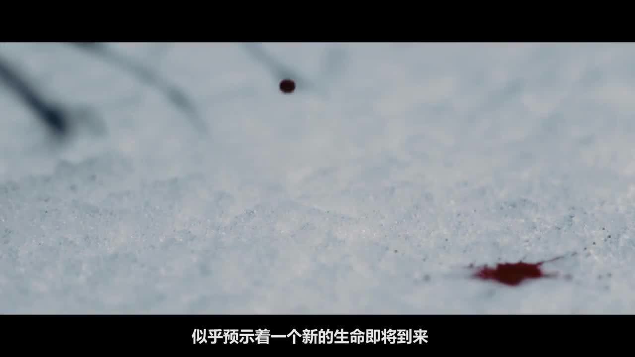 白雪公主与猎人 搜狗百科