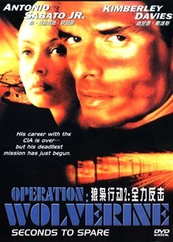 全力反击(Code Name: Wolverine (TV))-电影-腾讯视频