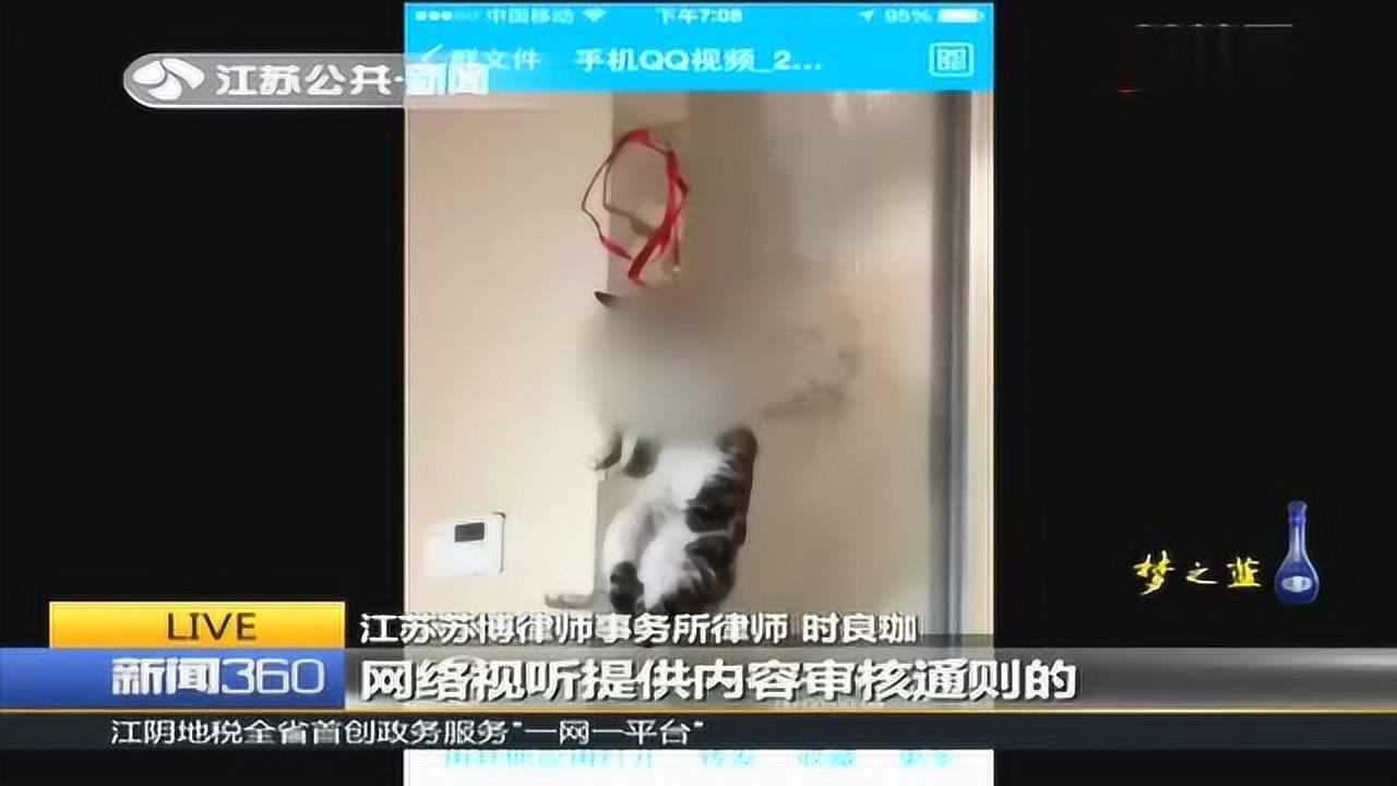 画面残忍！火烧开水烫网友直播虐猫过程 想看还得扫码付费腾讯视频