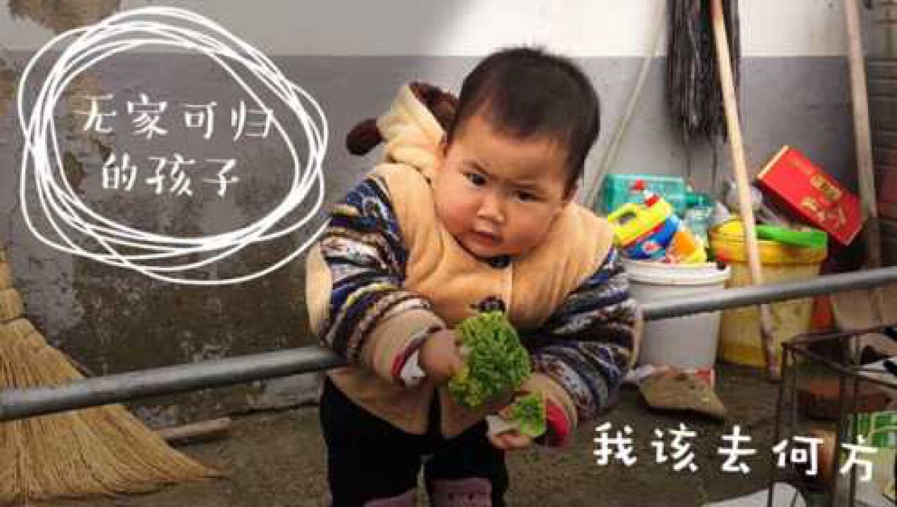 17个月宝宝摘菜乘机欺负奶奶,动不动就离家出走,亲爸也拦不住 腾讯视频