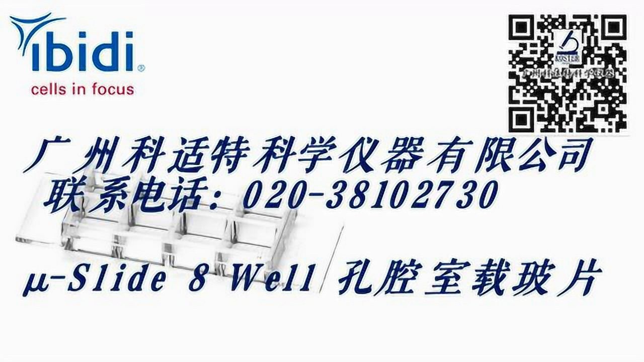 ibidi-μ-Slide 8孔腔室载玻片/免疫荧光实验/细胞培养视频_腾讯视频