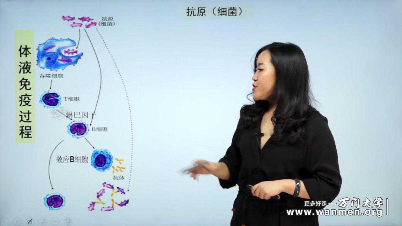 高中生物 体液免疫和细胞免疫 腾讯视频