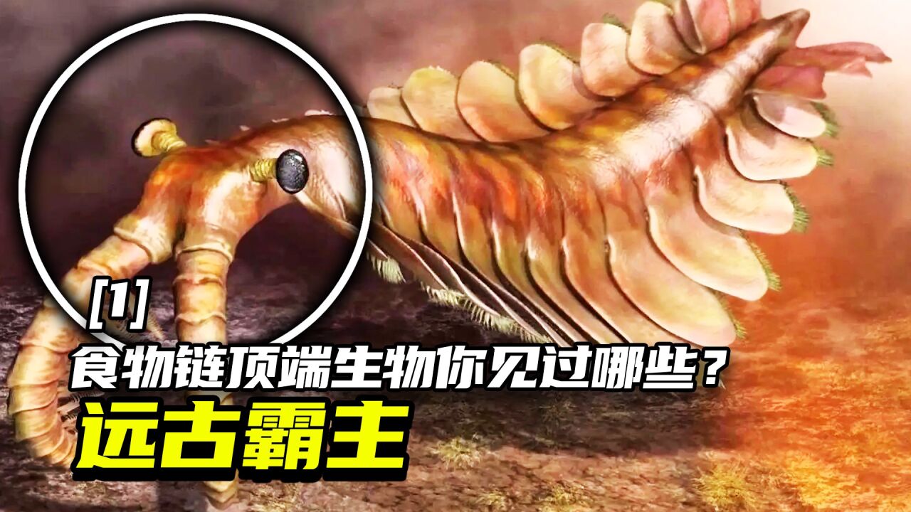 科普纪录片：远古霸主，食物链顶端生物你见过哪些？【1】腾讯视频