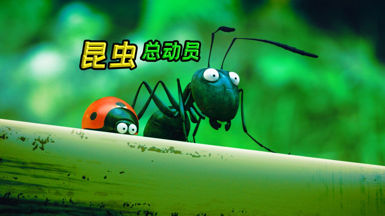 一只正义可爱的小瓢虫，拯救了黑蚂蚁王国《昆虫总动员》高清1080p在线观看平台腾讯视频 6031