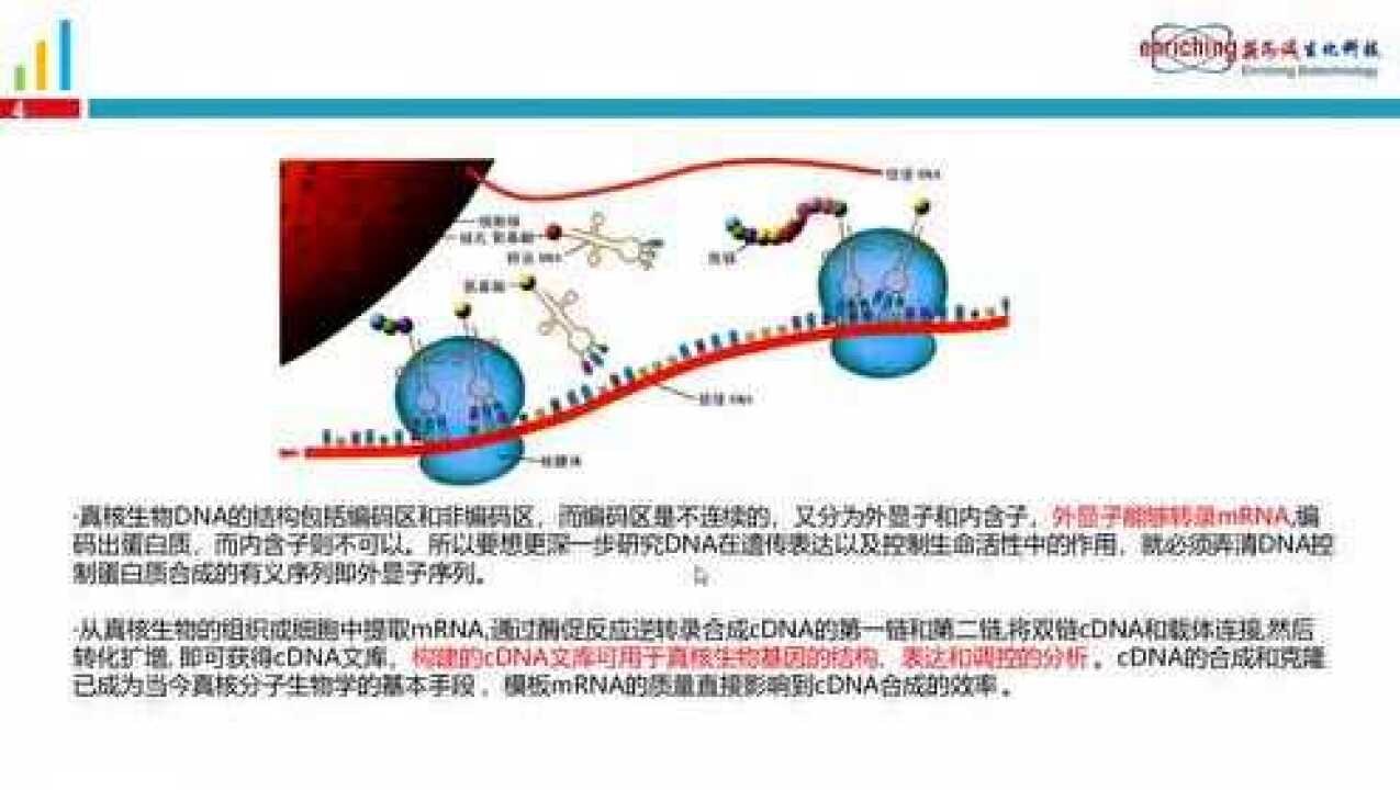 《Oligo dT磁珠及mRNA捕获》专题培训（英芮诚）_腾讯视频