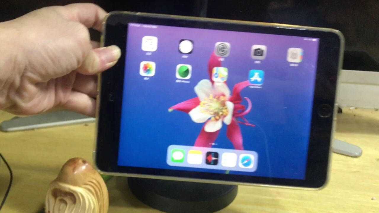 小钢炮 ipadmini2 受宠ios10.3.3_腾讯视频