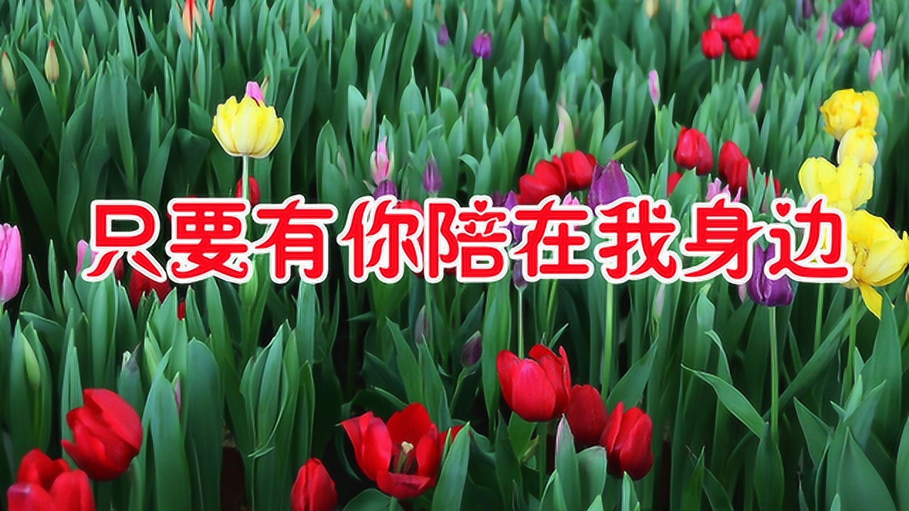 只要有你陪在我身边搜狗百科