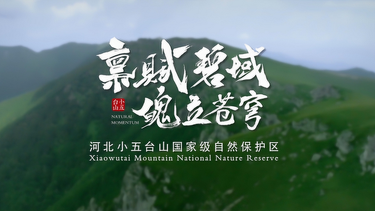 小五台_搜狗百科