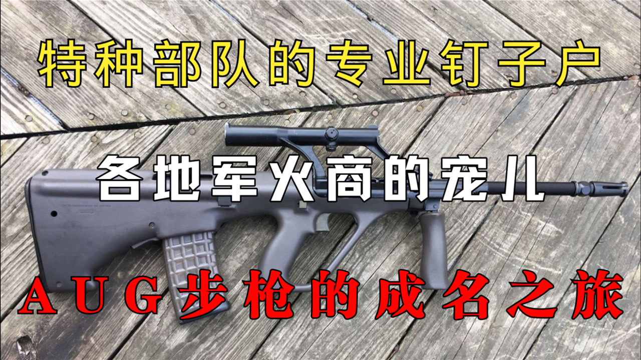 AUG突击步枪(武器装备)_搜狗百科
