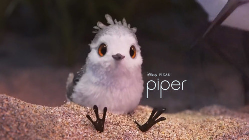 迪士尼皮克斯新作《Piper》皮克斯最新动画短片《鹬》（Piper）_少儿_动画片大全_腾讯视频
