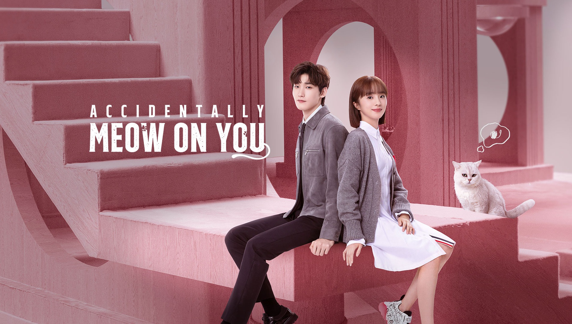 Accidentally Meow On You - Watch HD Video Online - WeTV