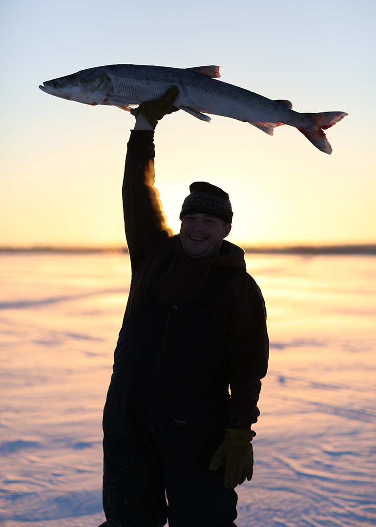 零度以下的生活 第三季(LIFE BELOW ZERO SERIES 3 )-纪录片-腾讯视频
