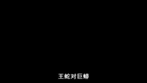 《王蛇对巨蟒》全片_高清1080P在线观看平台_腾讯视频