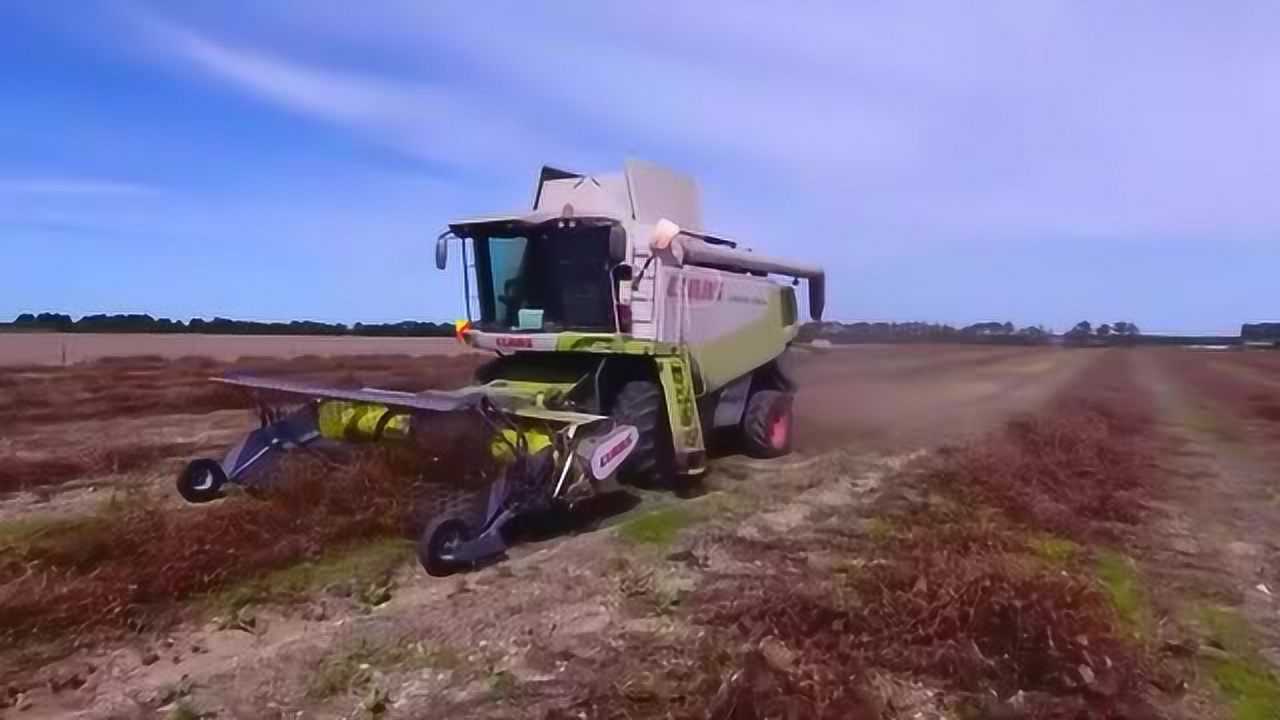 克拉斯580和约翰迪尔9660两台收割机共同从事农业行动_高清1080P在线观看平台_腾讯视频