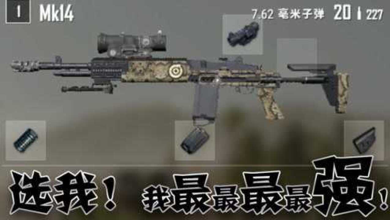 MK14才是pubg枪械之王你知道吗？数据对比+实战技巧！_腾讯视频