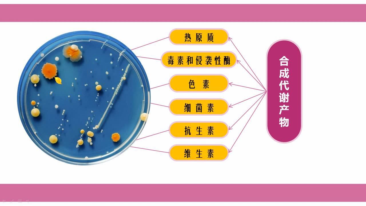 细菌的代谢产物_高清1080P在线观看平台_腾讯视频