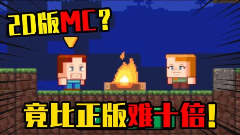我的世界：你们见过2D版的MC吗？它竟比正版MC还难玩！_高清1080P在线观看平台_腾讯视频
