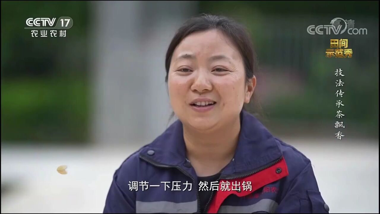 CCTV-17农业农村频道《田间示范秀》讲述青川七佛贡茶 制作过程......_腾讯视频