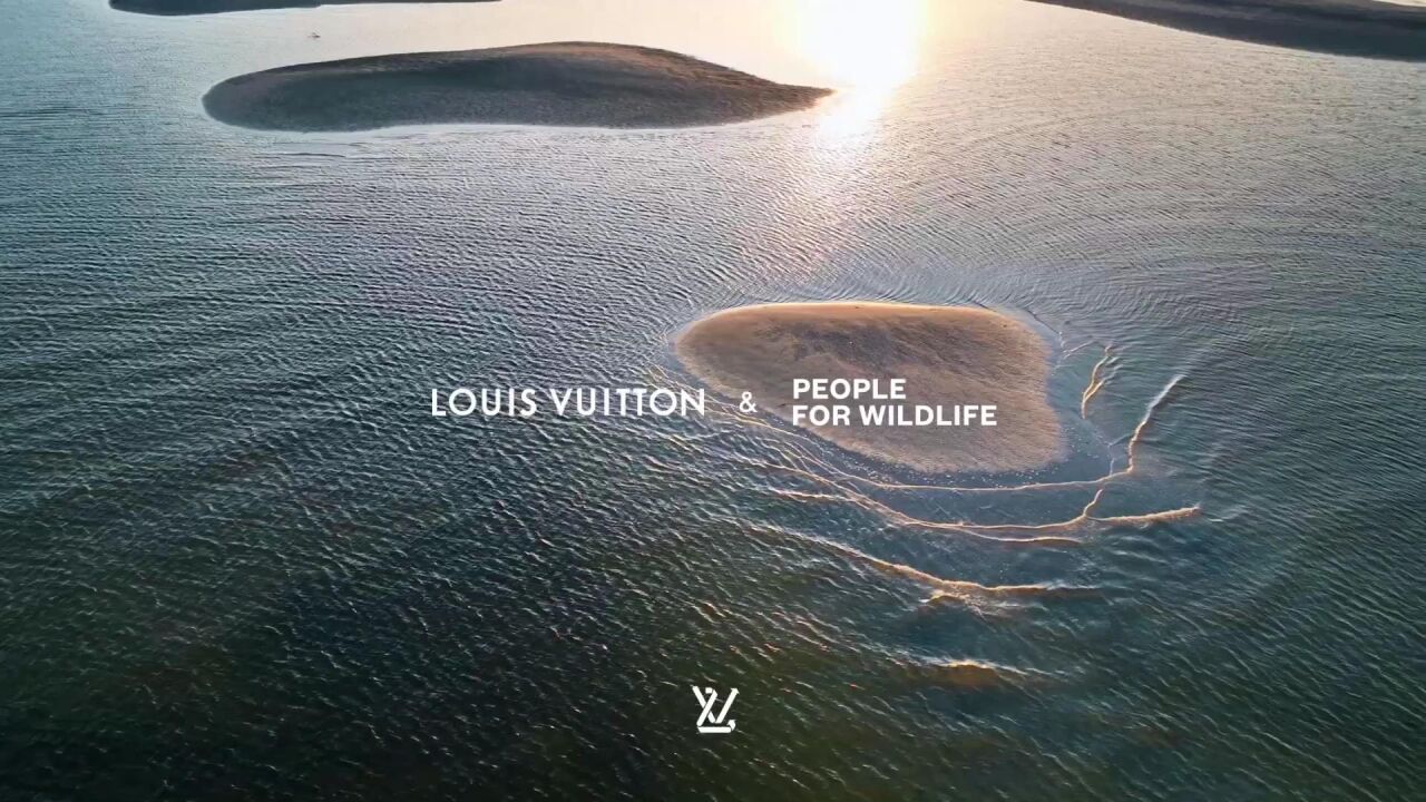 LV 携手澳大利亚环保组织 People For Wildlife 开启长达五年的合作_腾讯视频