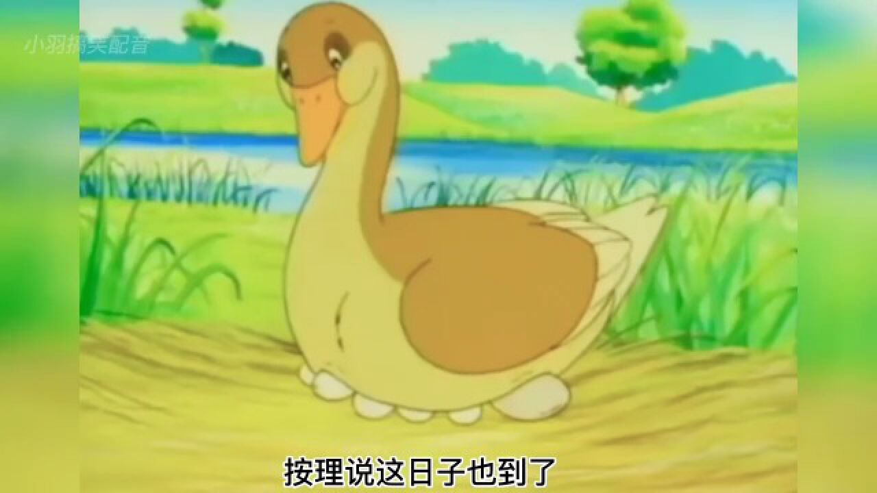 丑小鸭会变成白天鹅的故事高清1080p在线观看平台腾讯视频