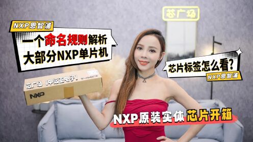 NXP芯片的标签怎么看？用一个命名规则读懂大多数的NXP单片机，NXP原装实体芯片开箱！_高清1080P在线观看平台_腾讯视频