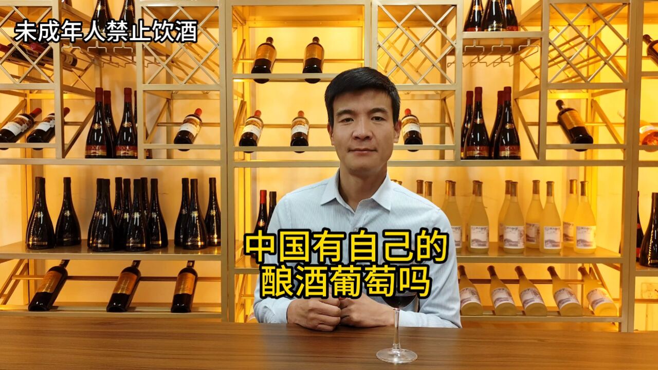 soole红酒学院：中国自己的酿酒葡萄——蛇龙珠_高清1080P在线观看平台_腾讯视频
