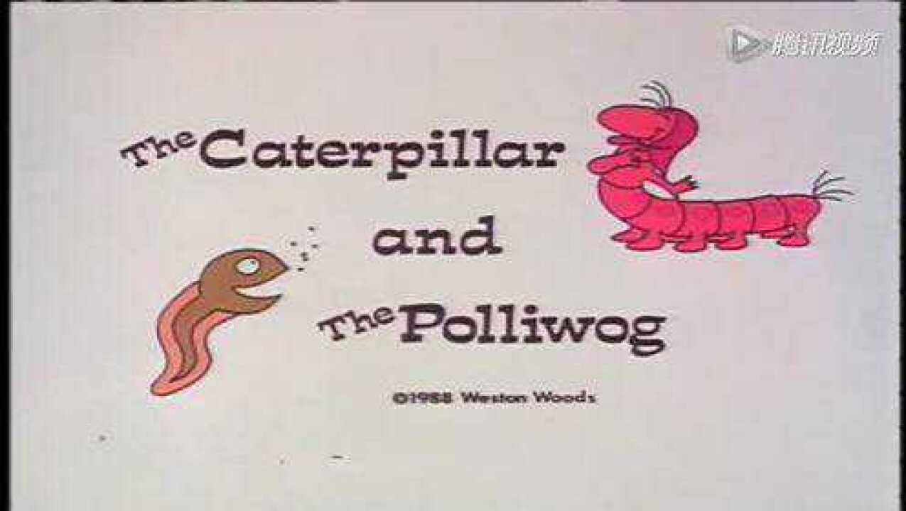 Thecaterpillarandthepolliwog_高清1080P在线观看平台_腾讯视频