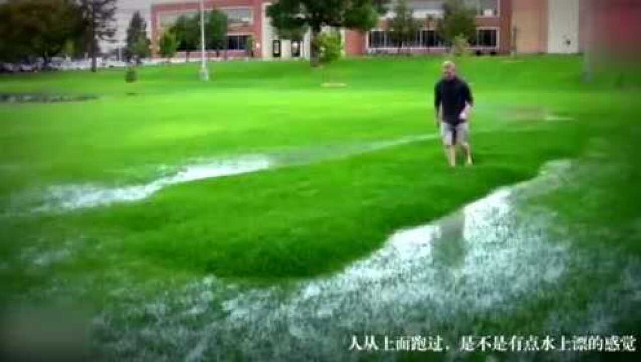 神奇的现象！像果冻一样的草地，踩上去会喷水是什么原因？腾讯视频