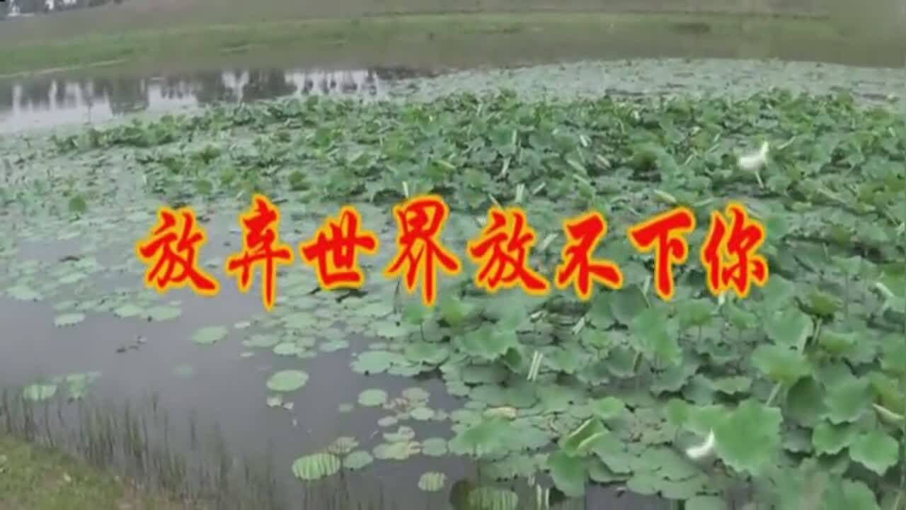 歌曲《放下世界放不下你》真是唱到心坎了！高清1080p在线观看平台腾讯视频