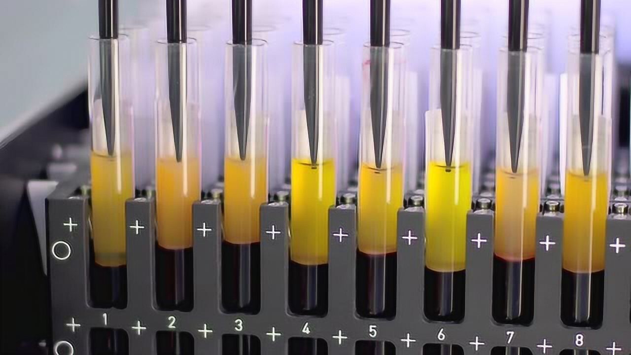 哈美顿easyBloodStar分血视频_高清1080P在线观看平台_腾讯视频